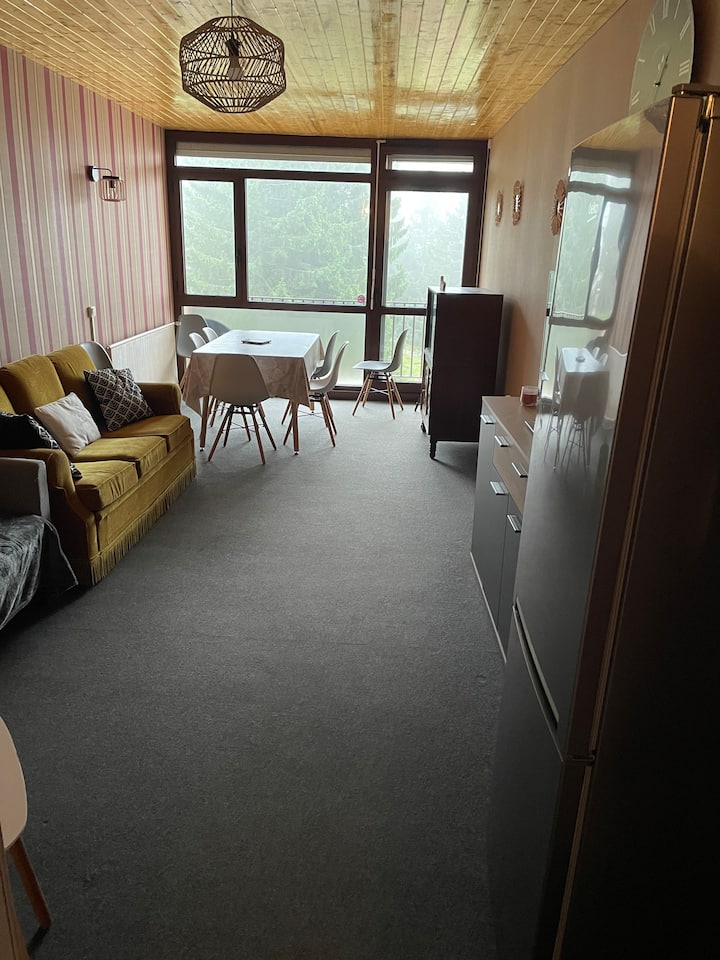 Appartement Au Pied Des Pistes - Laruns