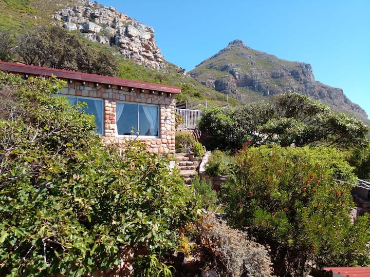 Sunrise Vista - Cape Town