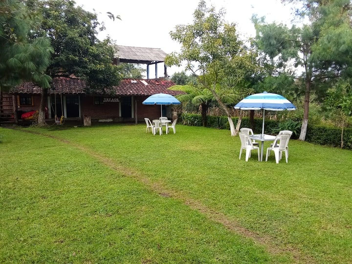 Naturaleza Pura - Zaragoza