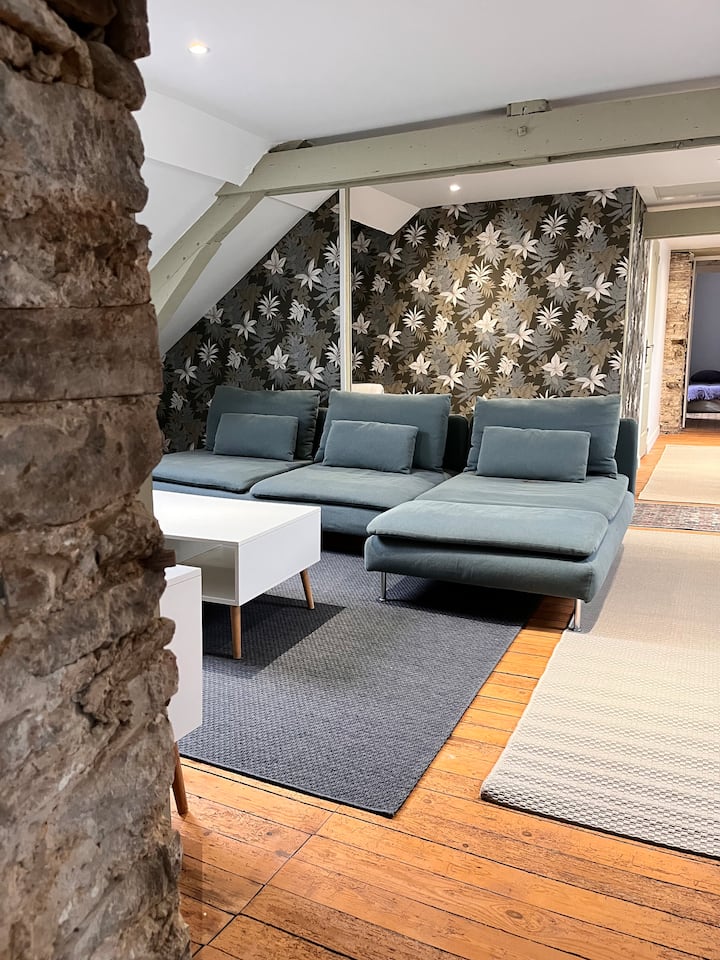 Chambre (S) Chez L’habitant - Laval, France