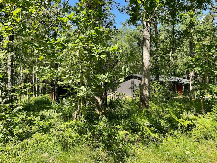 Stilrent Hus I Skogen, Perfekt Generationsboende - Perstorp
