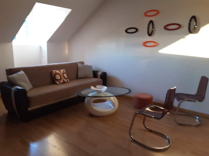 T3, 2 Chambres, Le Seventies Spacieux Hyper Centre - Ploërmel