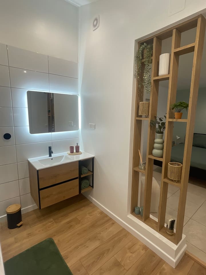 Chambre Et Sdb Avec Accès Privé - Cugnaux
