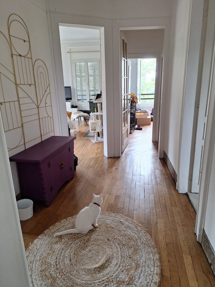 Chambre Plein Centre-ville - Le Havre