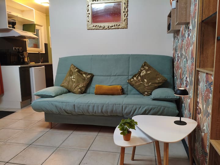 Le Studio Du Vieux Tilleul - Meyrueis