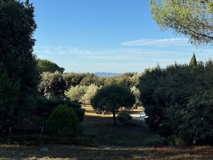 Villa Provence, Vue Et Piscine - L'Isle-sur-la-Sorgue