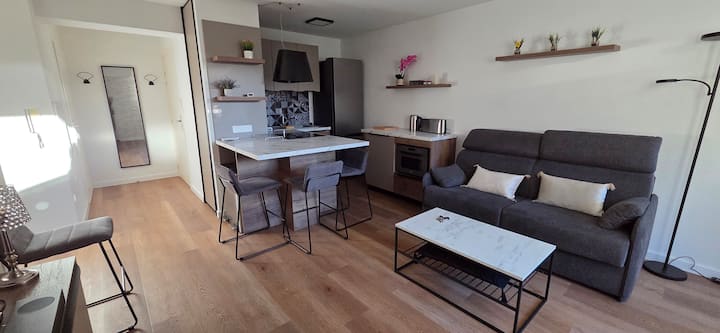 T2 Chic Meublé Climatisé, 4 Pers. - Blagnac