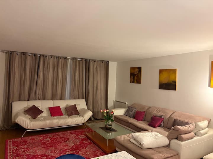 Appart A 7 Min De La Gare - Train Direct  Disney - Cergy