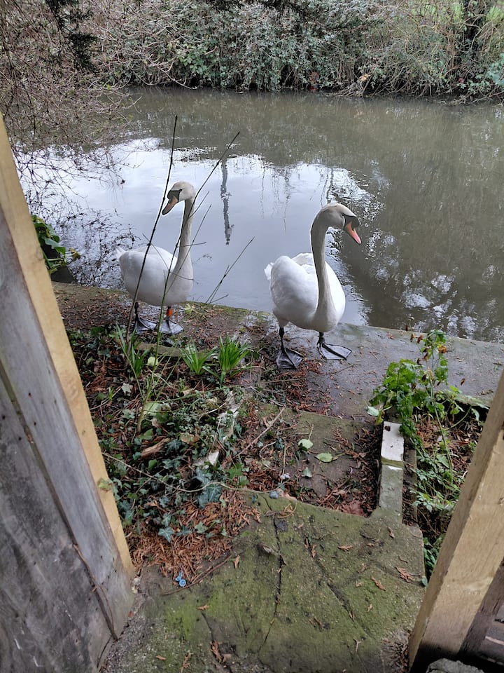 Vintage Reclaim Inspired, Shaby-chic @River Rewild - Hounslow