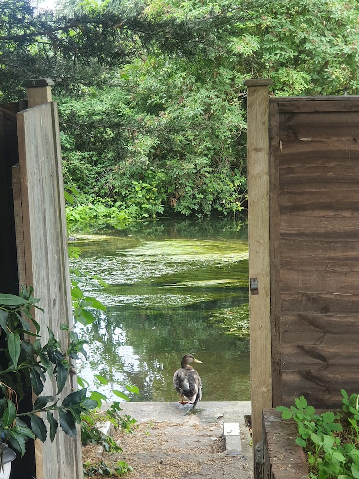 Vintage Reclaim Inspired, Shaby-chic @River Rewild - Slough