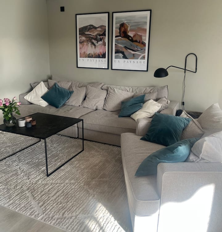 Stort Och Rymligt Hus I Odensala,nära Storsjöcupen - Östersund