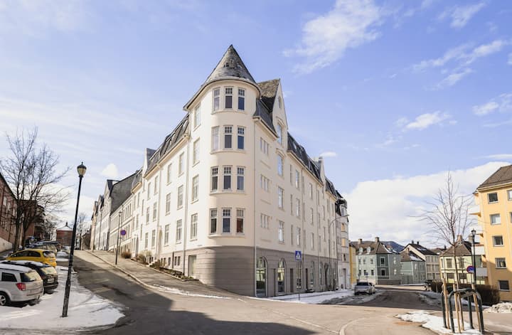 Sentral Leilighet På Møllenberg - Trondheim