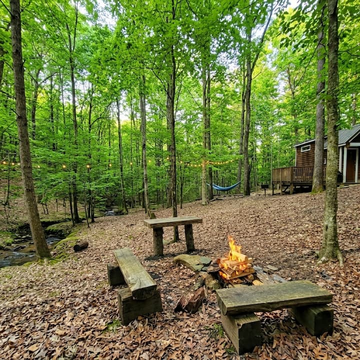 Fawn's Thicket - Suches, GA