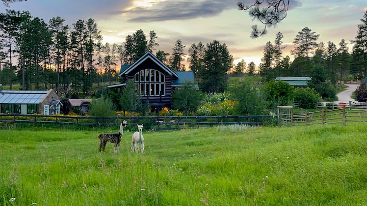 Drmamajoy Farm And Garden Bungalow - Custer, SD