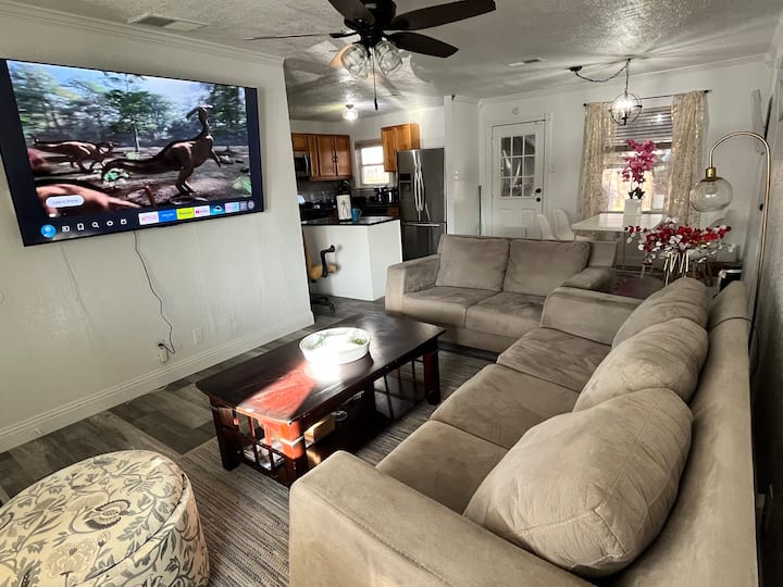 Cute House Caring Host (#2.3) - Arlington, TX