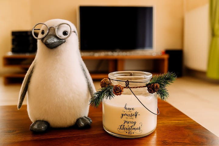 La Parenthèse Verte : Jardin Arboré 4ch,
2sdb,2wc - Tournefeuille