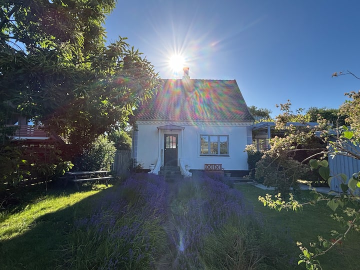 Hygge Townhouse In Green Oasis - Copenhague
