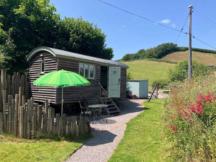 The Shepherd's Hut, Steam And Stars - Watchet