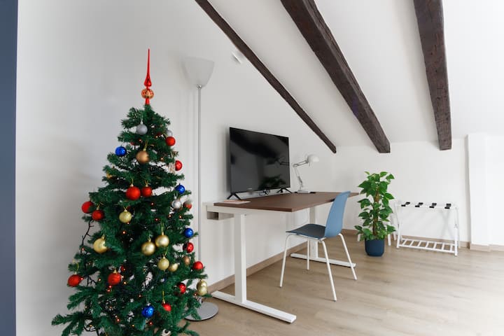 Mansarda Luminosa E Spaziosa - Center Trieste 2025 - Ankaran