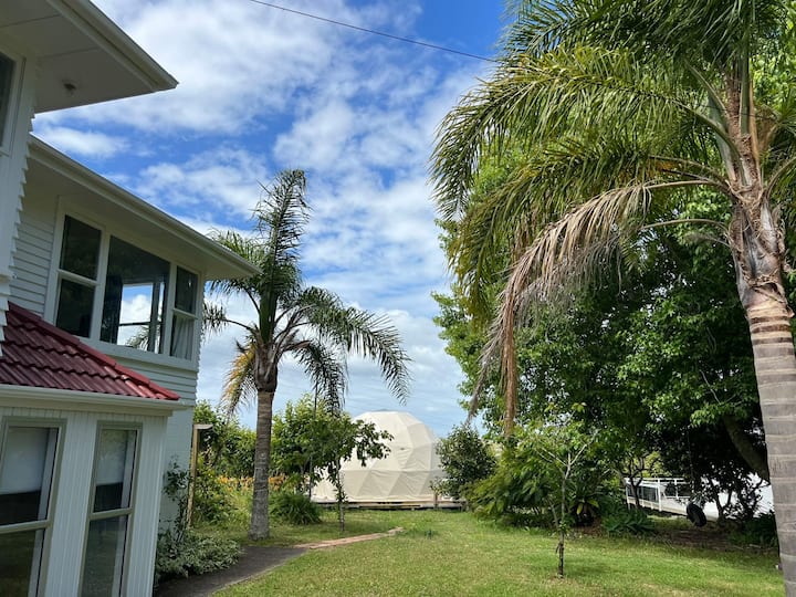 Twinkle Orchard Camp - Auckland