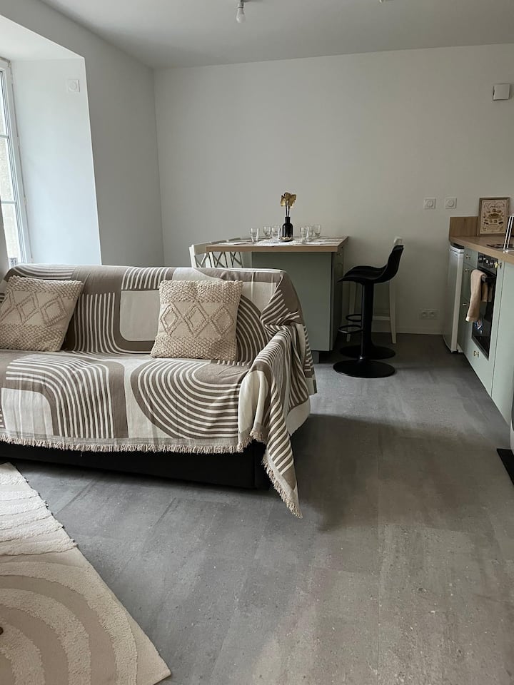 Studio Spa Jacuzzi
Calme / Cosy /
Centre Ville - Cholet