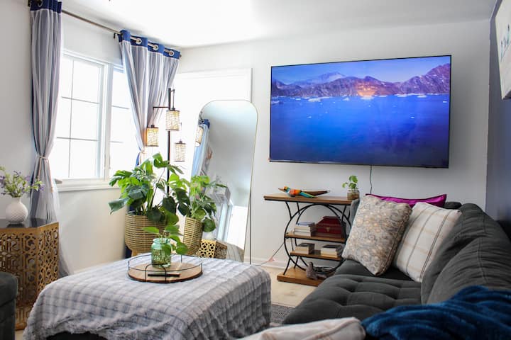 Whispering Feathers, Smart Tv, King Bed, Wifi - Aurora, IL