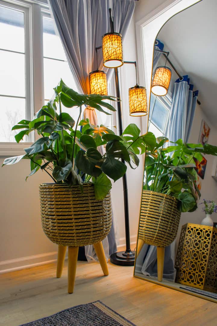 Whispering Feathers, King Bed, Smart Tv, Wifi - Aurora, IL