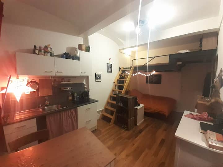 Appartement à Louer Gap Du 13 Janvier Au 7 Février - ガップ