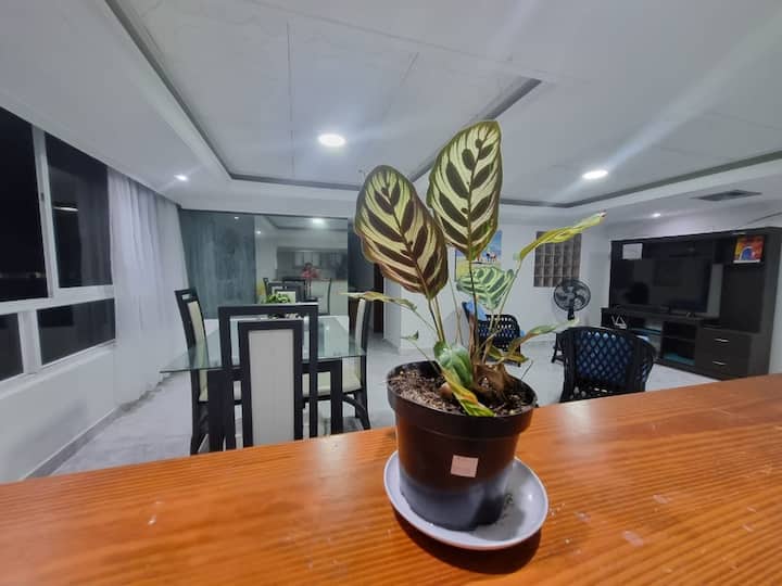 Apto 803a - San Andrés