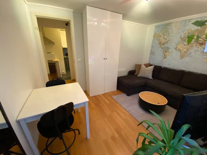 Sentral Og Naturnær Leilighet - Alesund