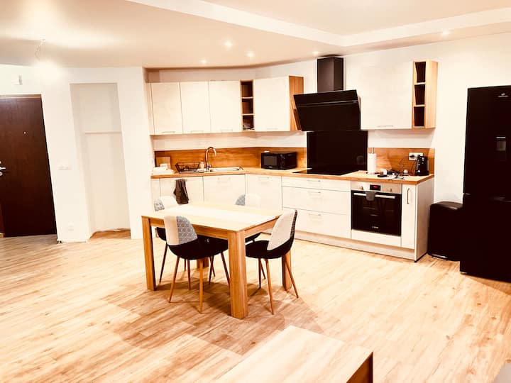 Spacieux T1 49m², Confort Assuré - Annemasse