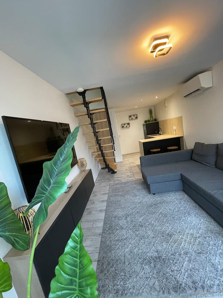 Maisonnette Privée (Style Hôtel) Terrasse,wifi . . - Villeurbanne