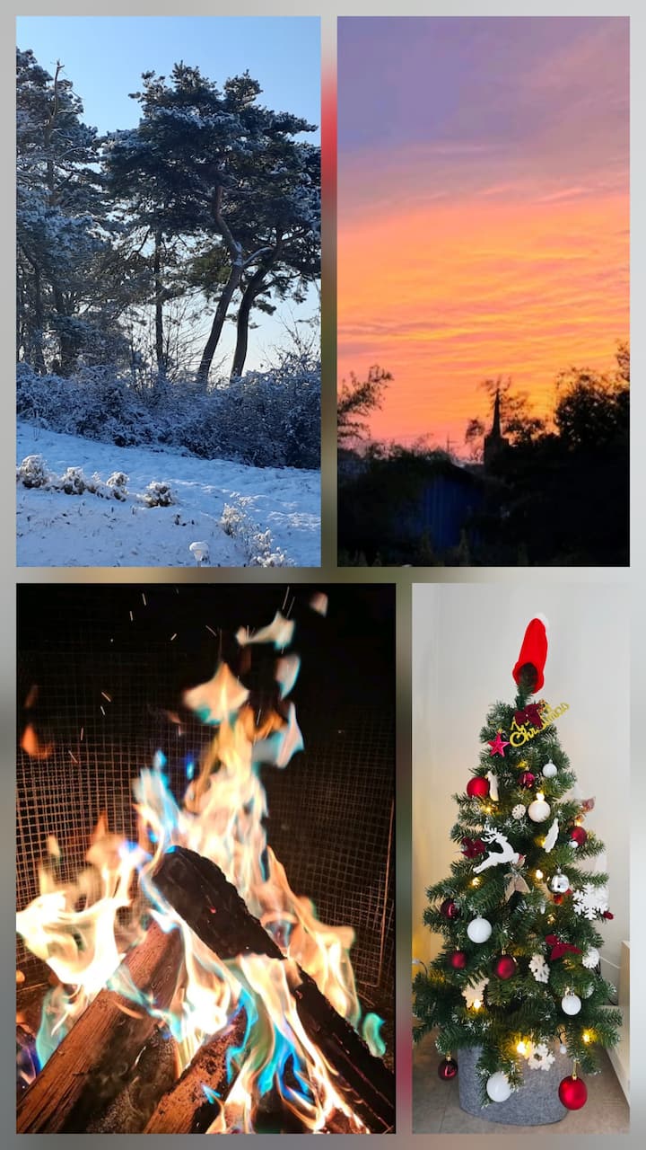 신축독채호텔침구
대면주방 빔넷플보드
정수기얼음하이볼
실내같은데크 바베큐불멍
기본6인최대8인 - 익산시