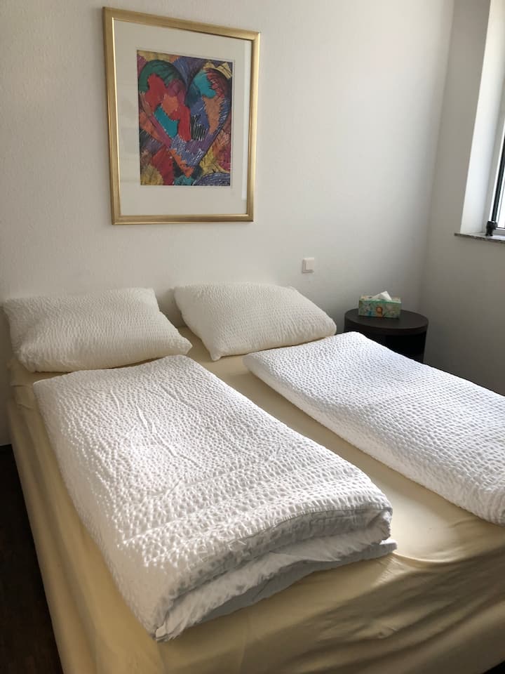 Zentrale Wohnung In Stuttgart Mitte! - Stuttgart