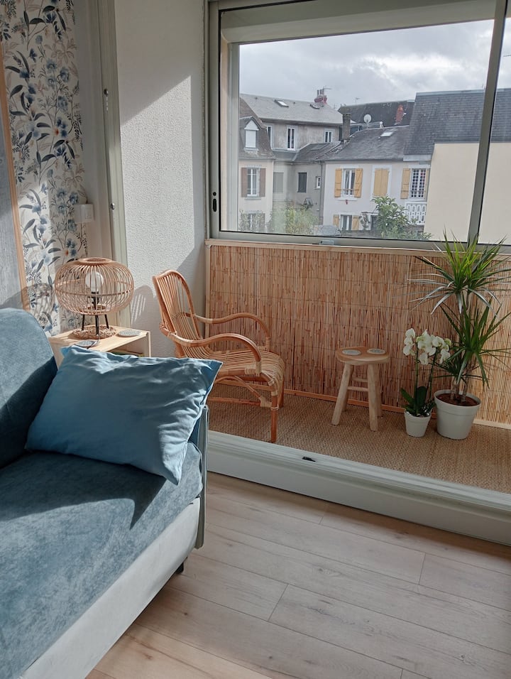 Logement Pour Cure Thermale - Bagnères-de-Bigorre