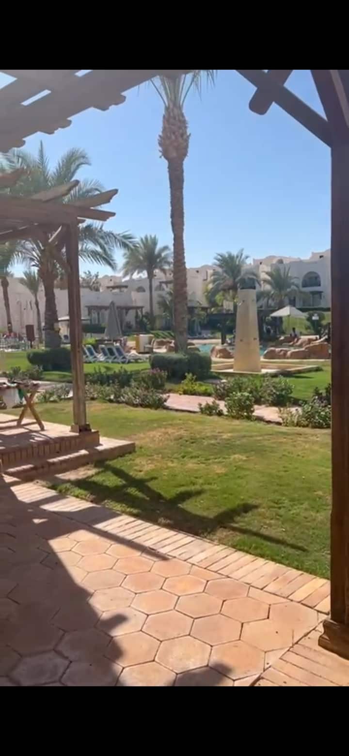 Jaz Sharm Dreams 
Sharm Echeikh - Sharm El-Sheikh