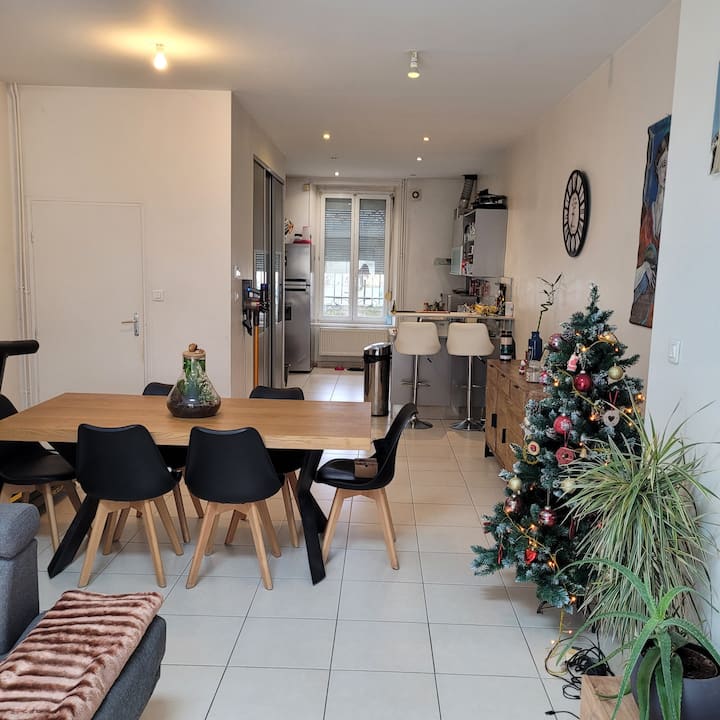 Maison Spacieuse Avec Terrasse - Nancy