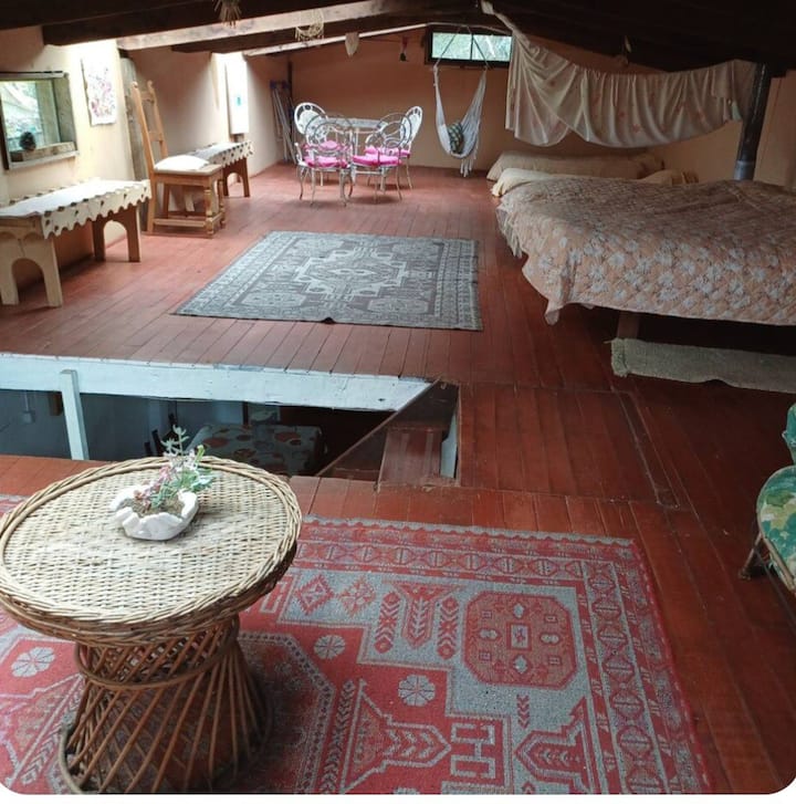 ¡Una Inmersión Guiada Mágica En Bosque Nativo! - Futrono