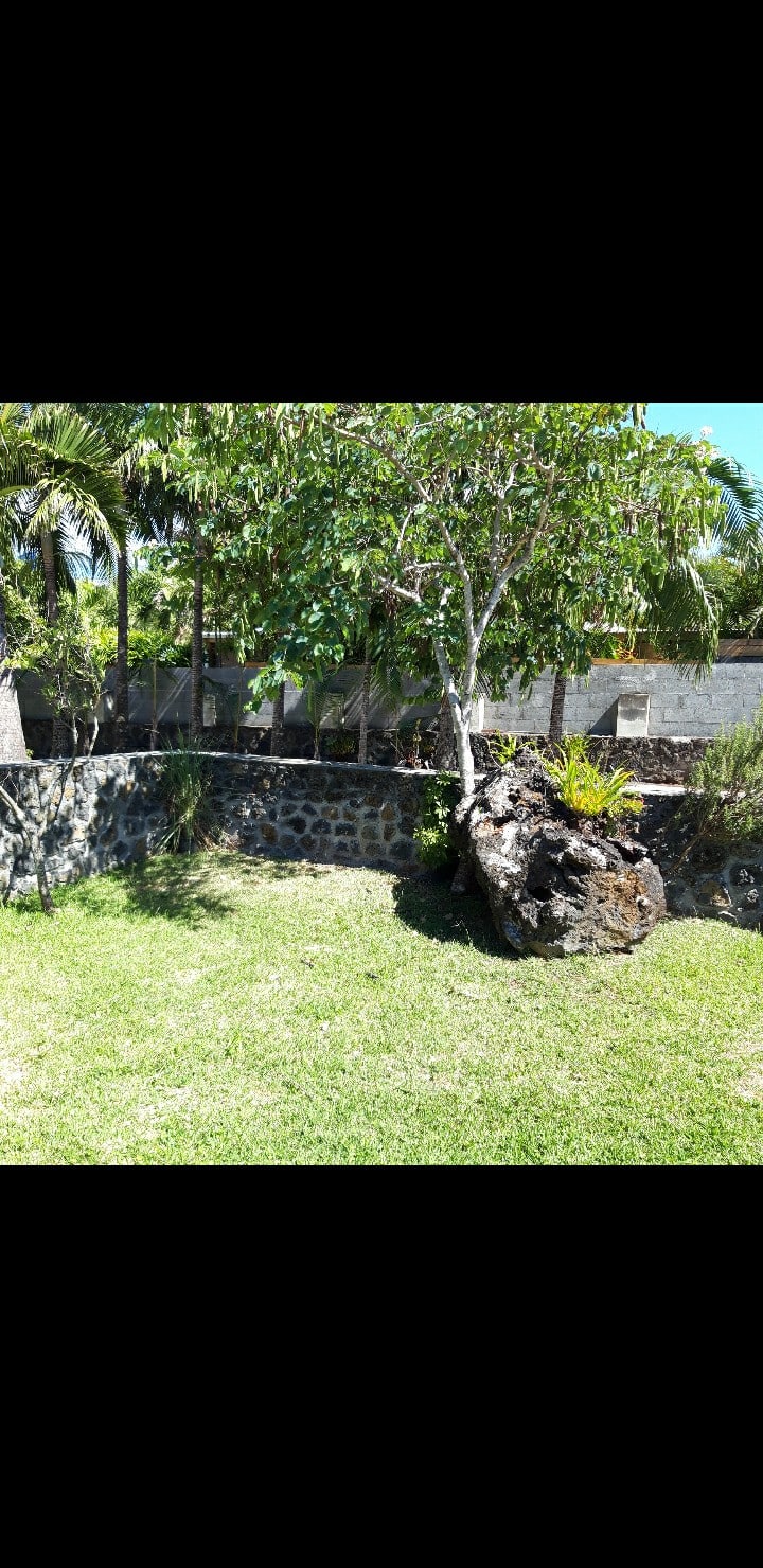 Appartement La Roche En Fleurs - Saint Joseph