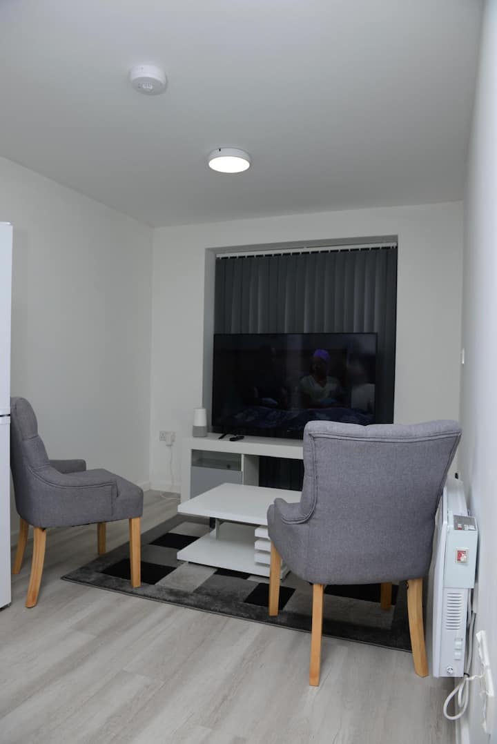 Cozy 1 Bedroom Apartment. - Sheffield