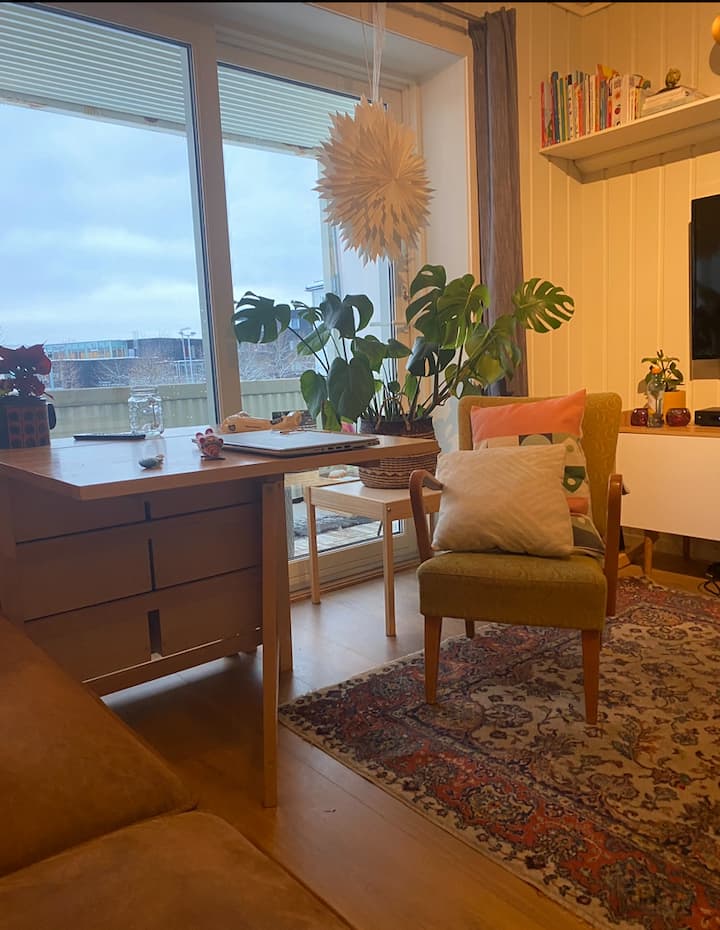 Leiligheten På Byåsen/trondheim - Trondheim