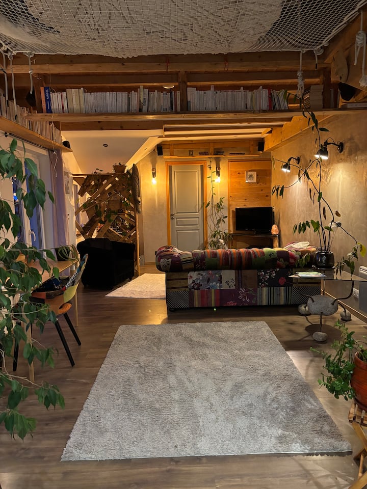 Appartement Avec Vue Mont Blanc - Passy