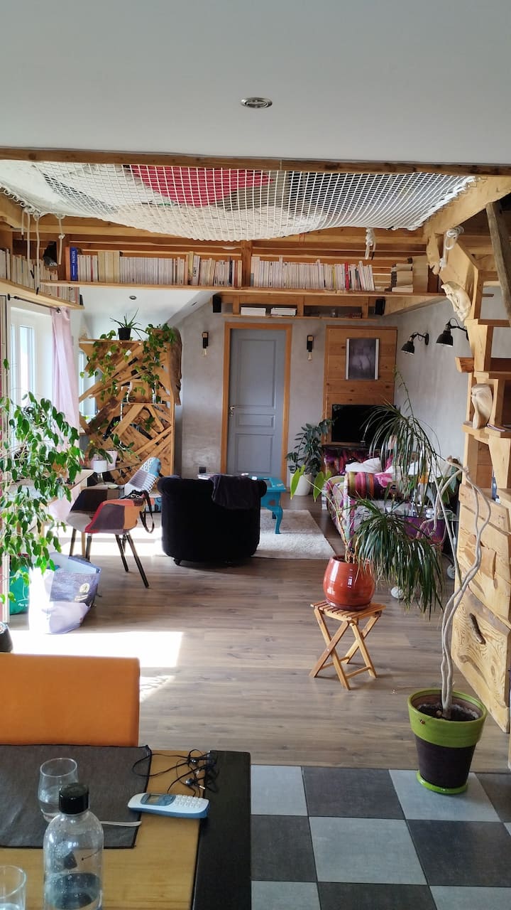 Appartement Avec Vue Mont Blanc - Passy