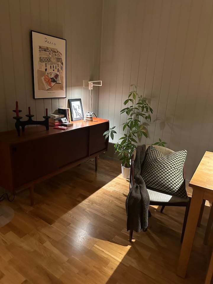 Casa A Leutenhaven, Sentrum - Trondheim