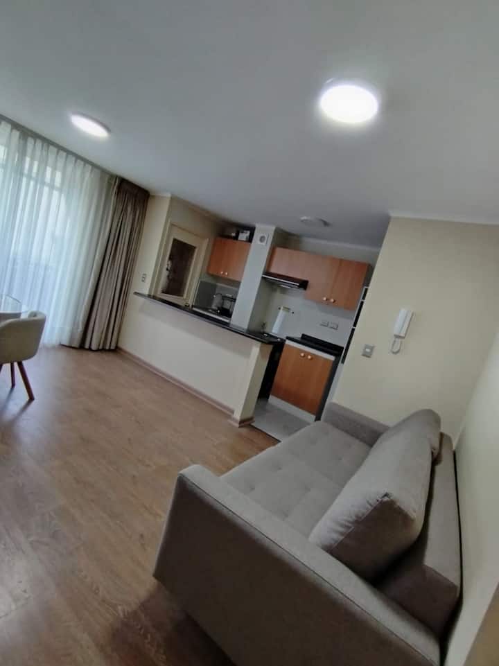 Moderno, Acogedor Con Terraza Y Estacionamiento - Temuco