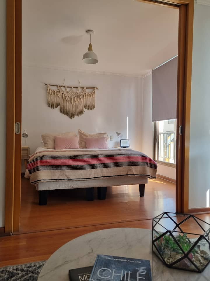 Excelente Ubicación Y Cómodo Alojamiento Lastarria - Providencia