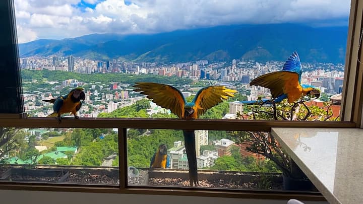 Apartament With Unmatched Views - Caracas