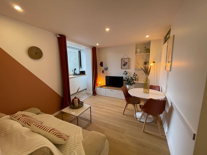 Nid Douillet Centre-ville - Gare de Toulouse Matabiau