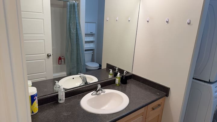 Lovely One Bedroom With Garage - Regina