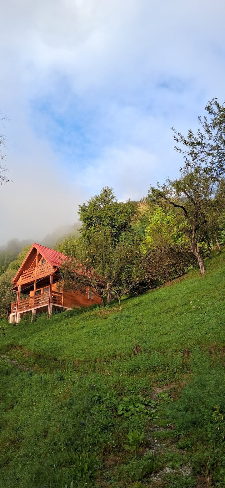 Cabana Ulmului - Vișeu de Sus